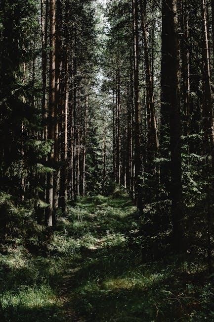 Entei Raid Guide: Master the Battle & Conquer!