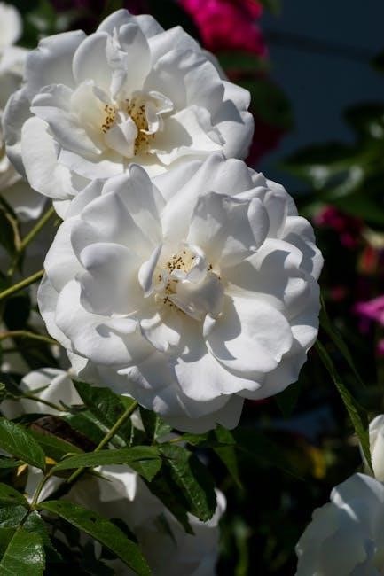 PDF Orthographic Corrector Tool